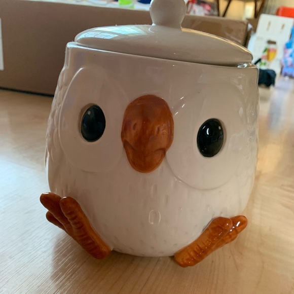 Kitchen | Arlington Designs White Owl Small Cookie Jar | Poshmark